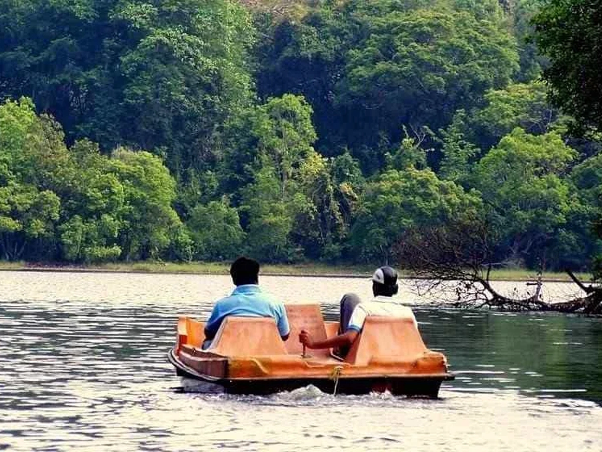 Best Luxury Resorts in Wayanad | Wayanad Hotels | Arayal Resorts